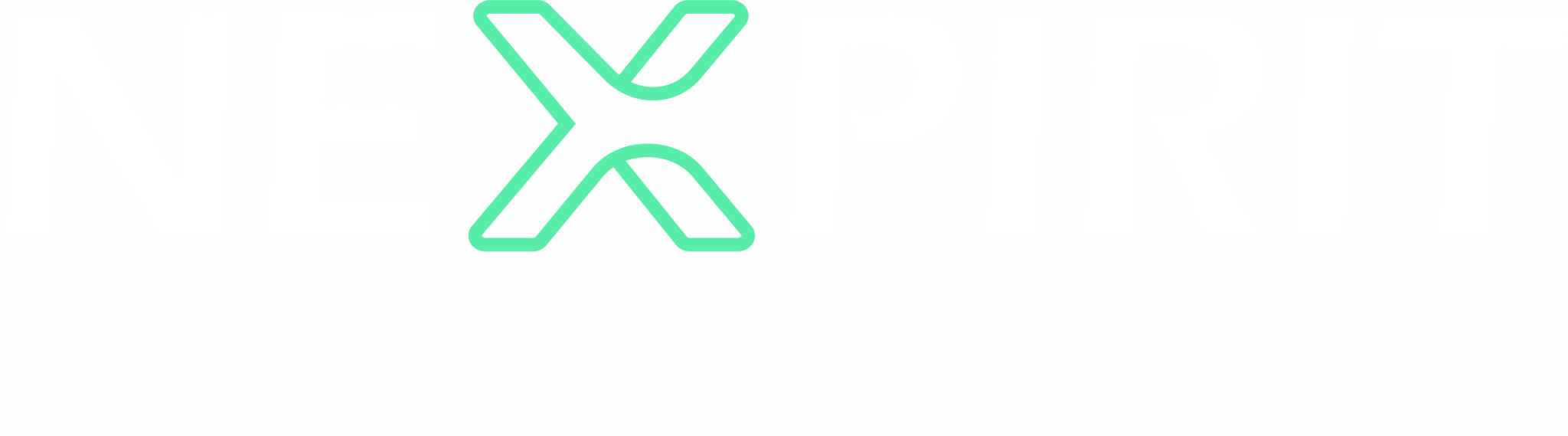 Material Management - EN - Nexpirit GmbH